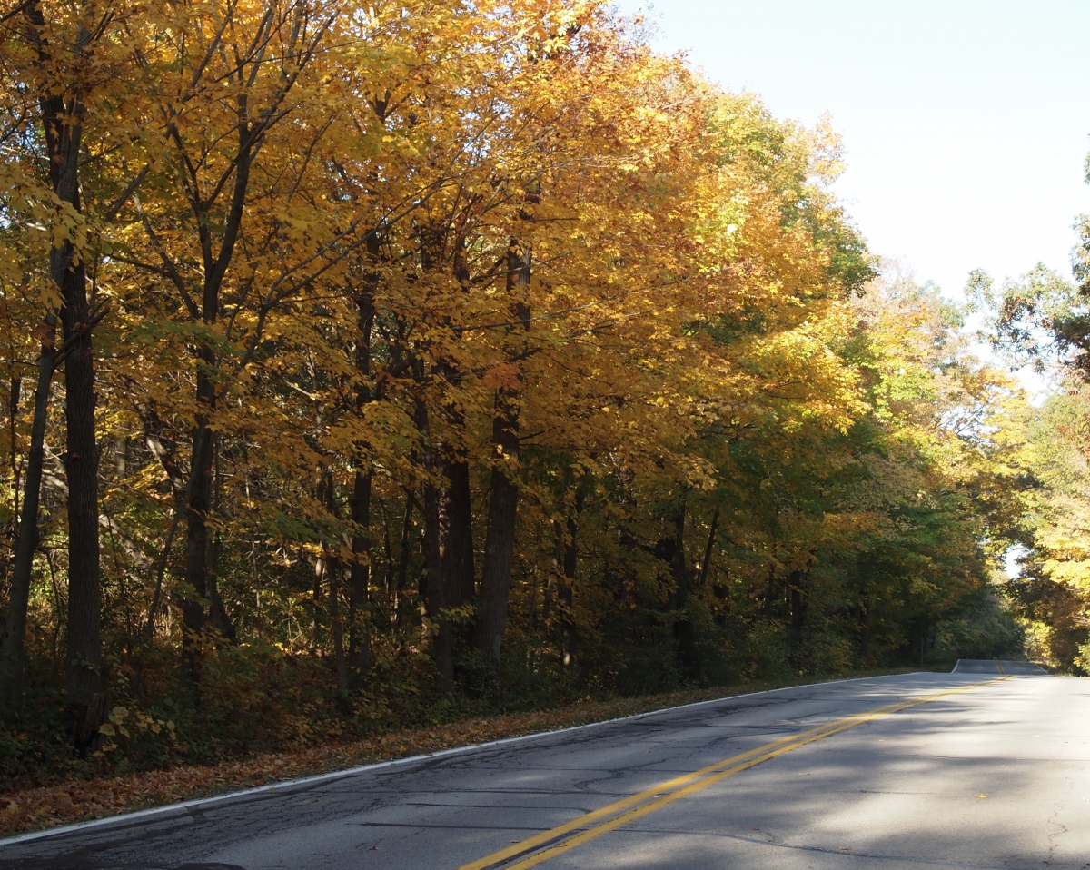 Petrifying Springs Park - Village & Town of Somers, WI